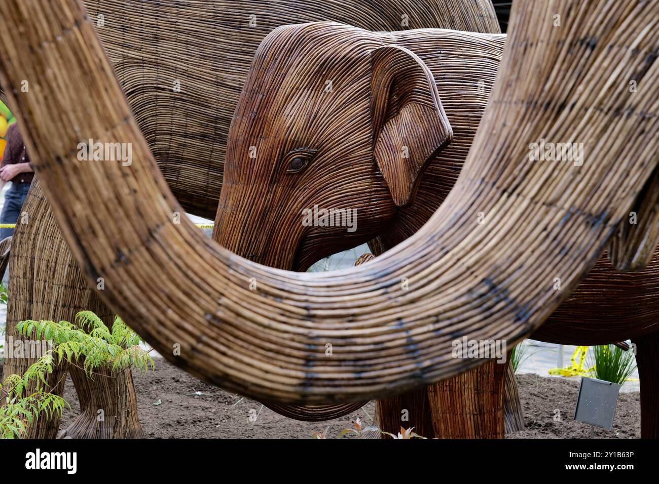 New York, New York, USA. 5th Sep, 2024. Travelling installation of 100 ...