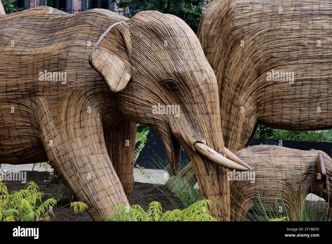 New York, New York, USA. 5th Sep, 2024. Travelling installation of 100 ...