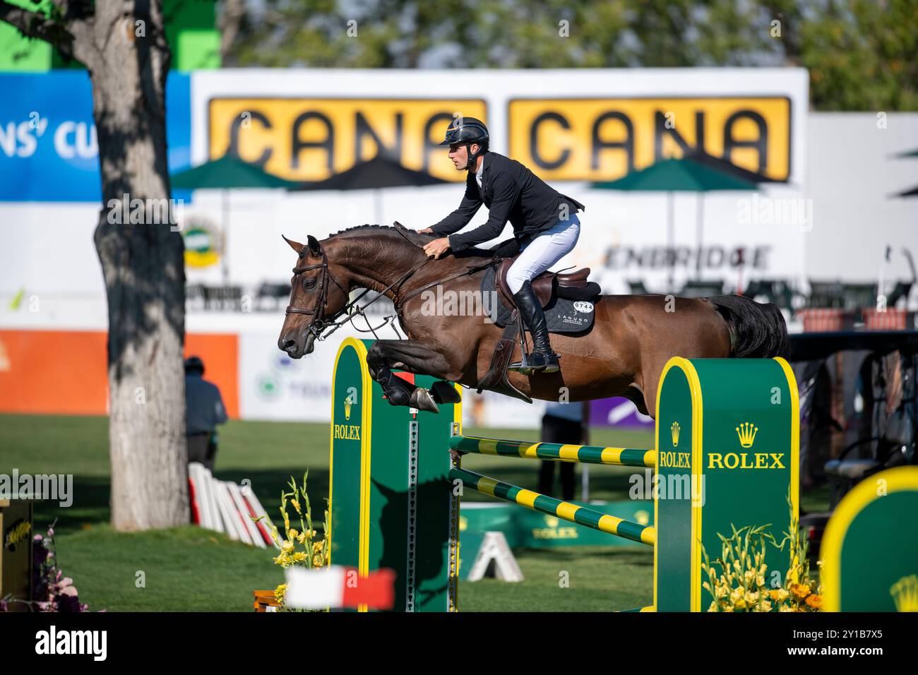 United touch s horse hi-res stock photography and images - Alamy