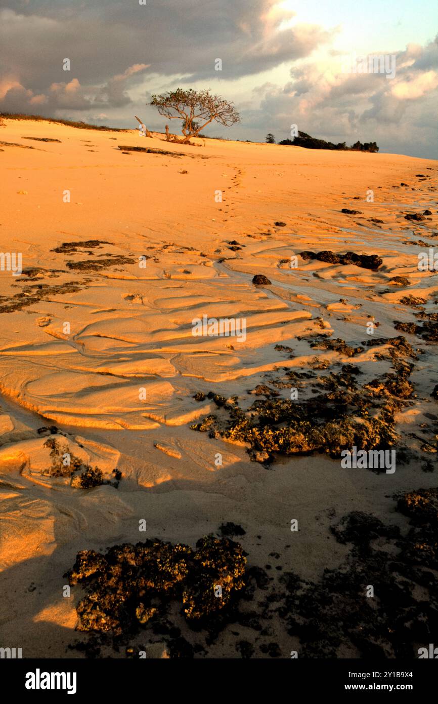 Landscape of rocky, sandy beach that is captured before sunset time in ...