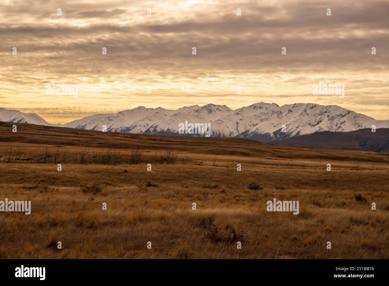 The wilderness of the arid desert like Hakatere Valley and southern ...