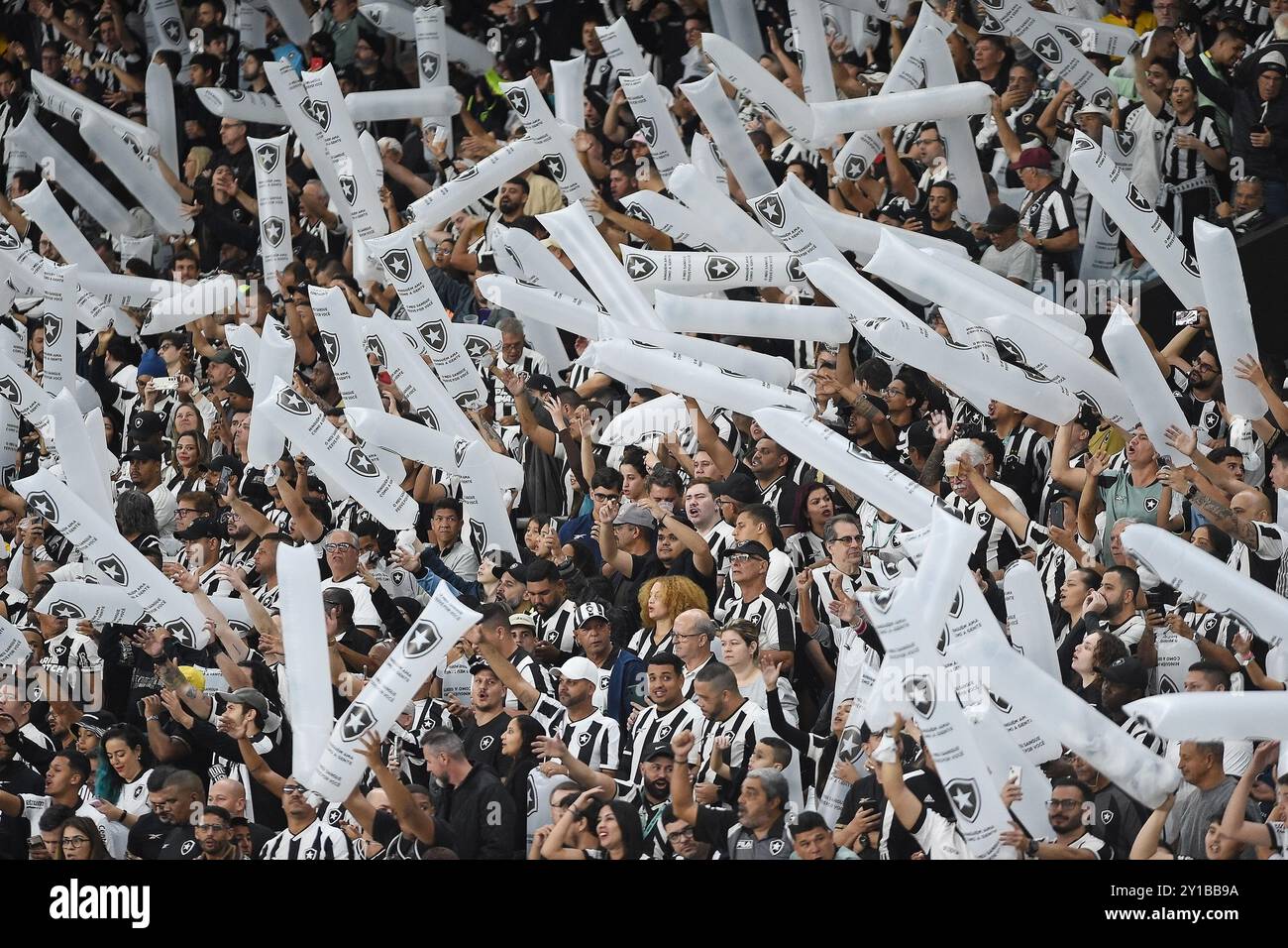 Rio de Janeiro, Brazil, August 14, 2024. Botafogo x Palmeiras football ...