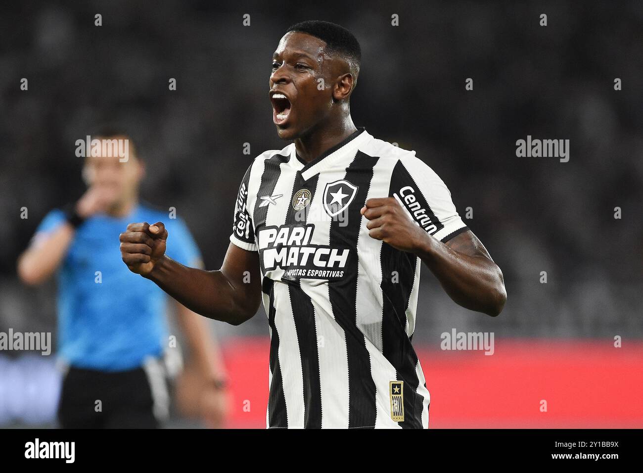 Rio de Janeiro, Brazil, August 14, 2024. Botafogo x Palmeiras football ...