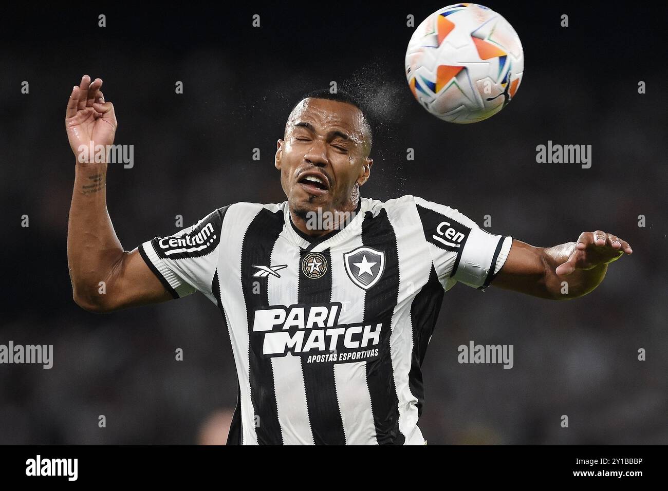 Rio de Janeiro, Brazil, August 14, 2024. Botafogo x Palmeiras football ...