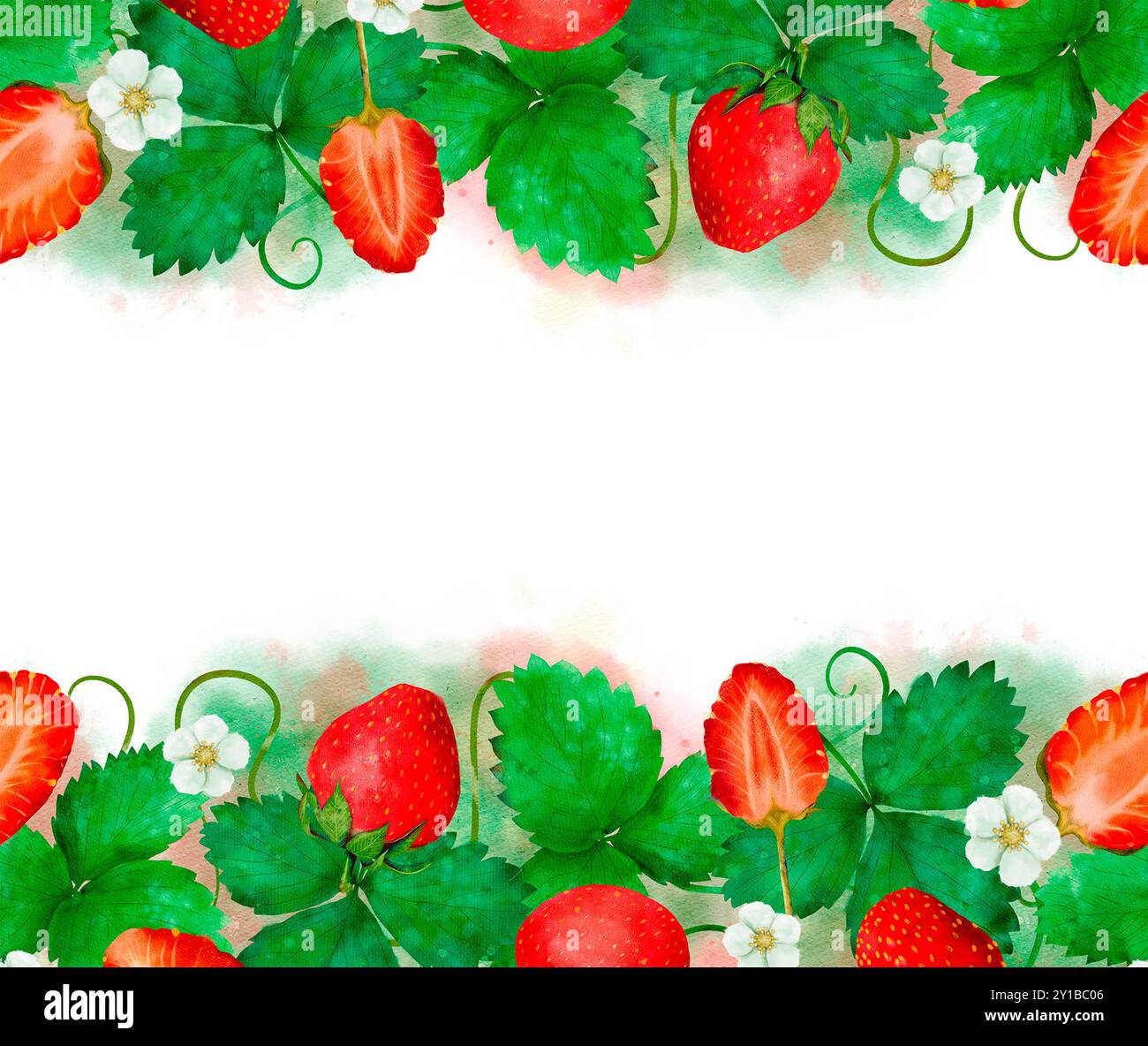 Vibrant illustration of strawberries, leaves, and blossoms in a border ...