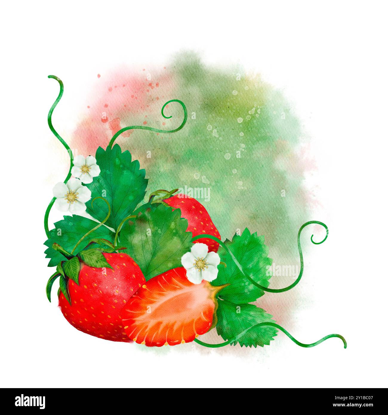 Vibrant watercolor strawberries with leaves and flowers, suitable for ...