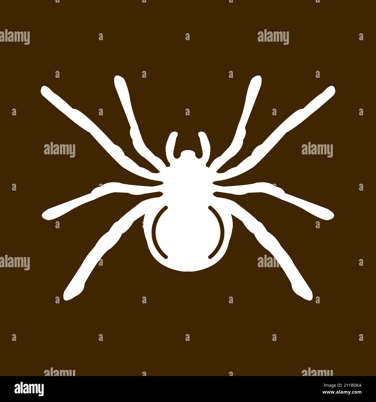 spider icon vector illustration symbol design Stock Vector Image & Art ...