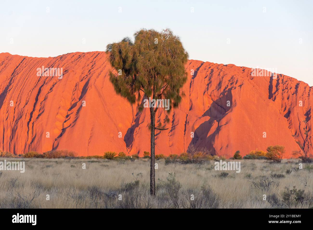 Uluru (Ayers Rock) at sunset, Uluṟu-Kata Tjuṯa National Park, Northern ...