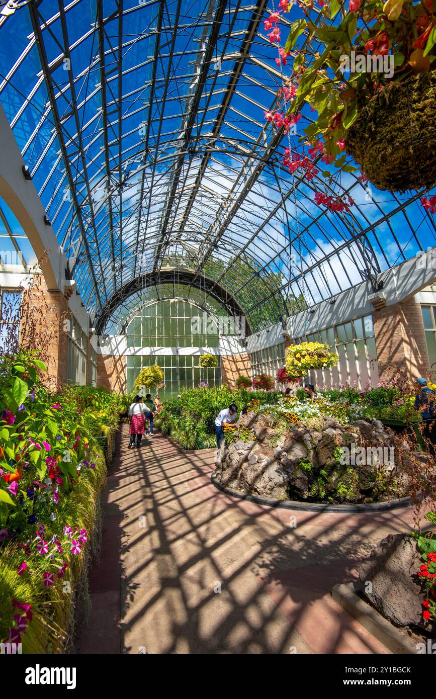 Large vertical gardens in auckland new zealand hi-res stock photography ...