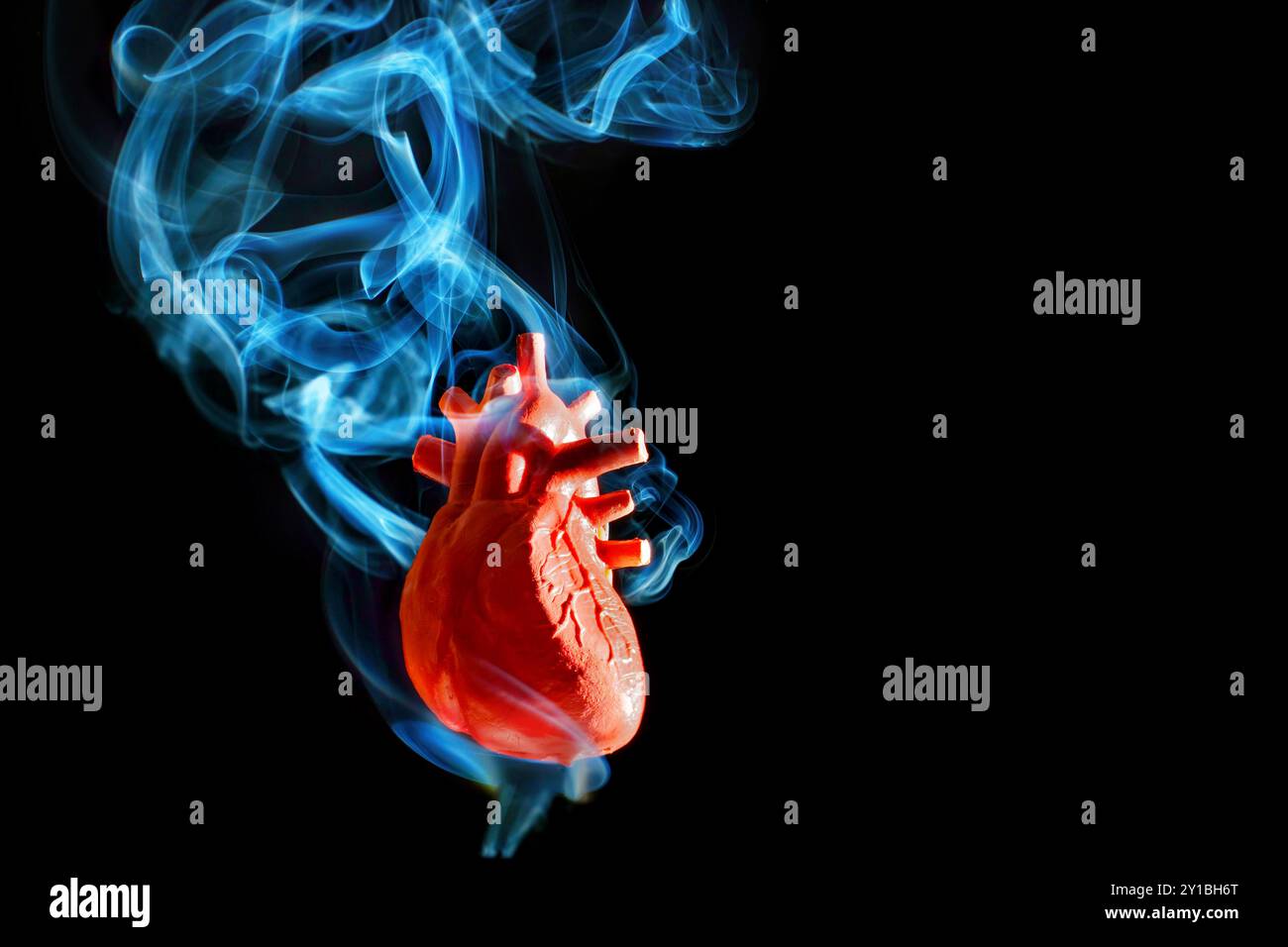 Anatomically correct human heart model emerging from blue smoke ...