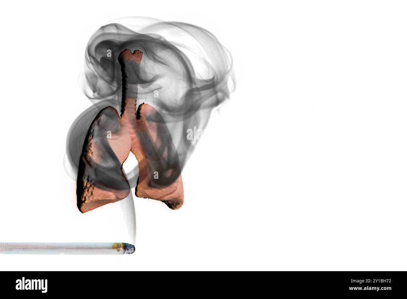 Detailed human lungs model exhaling dark smoke from a cigarette ...