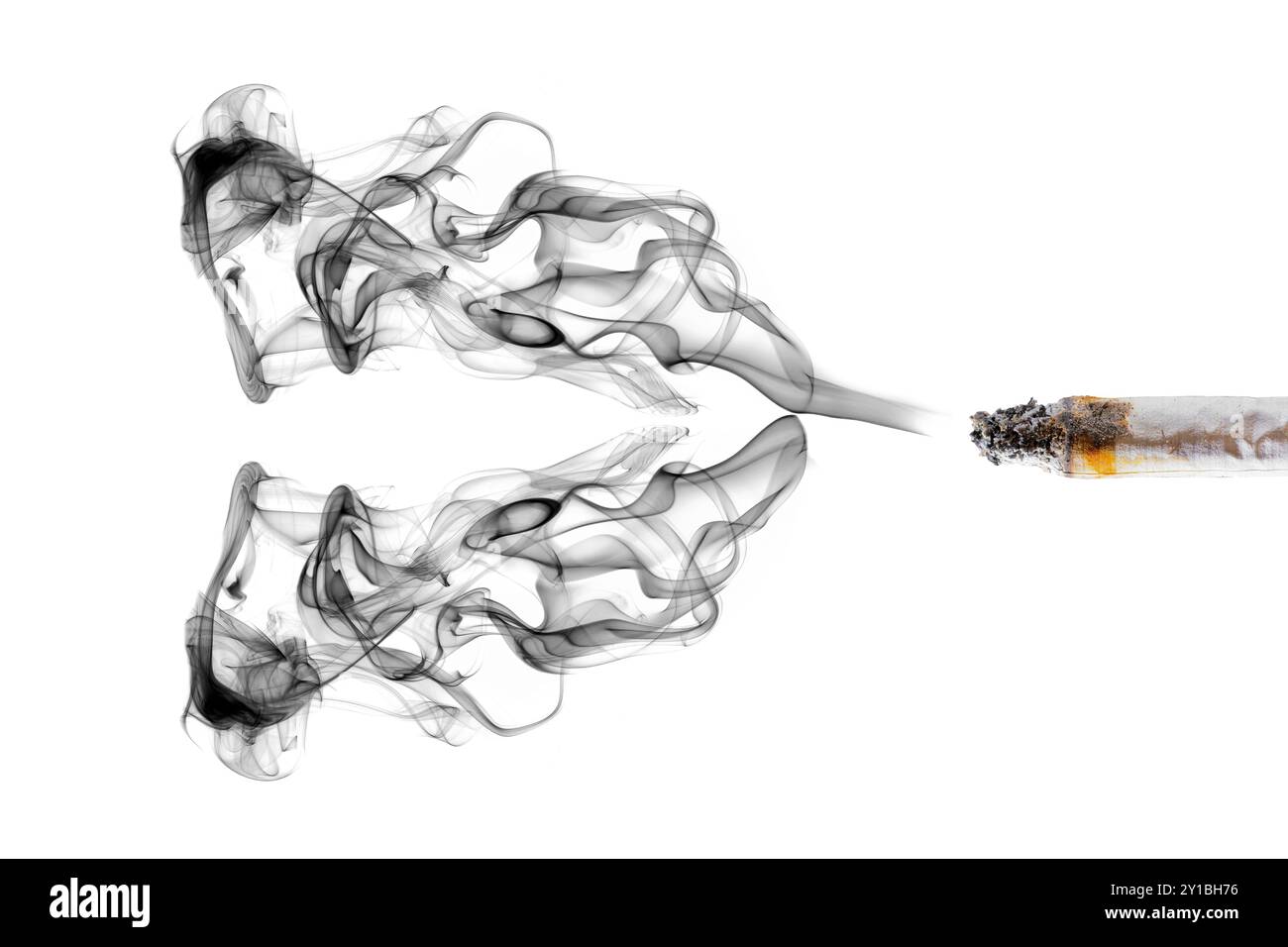 Cigarette with smoke swirling in a dynamic human lungs like pattern ...