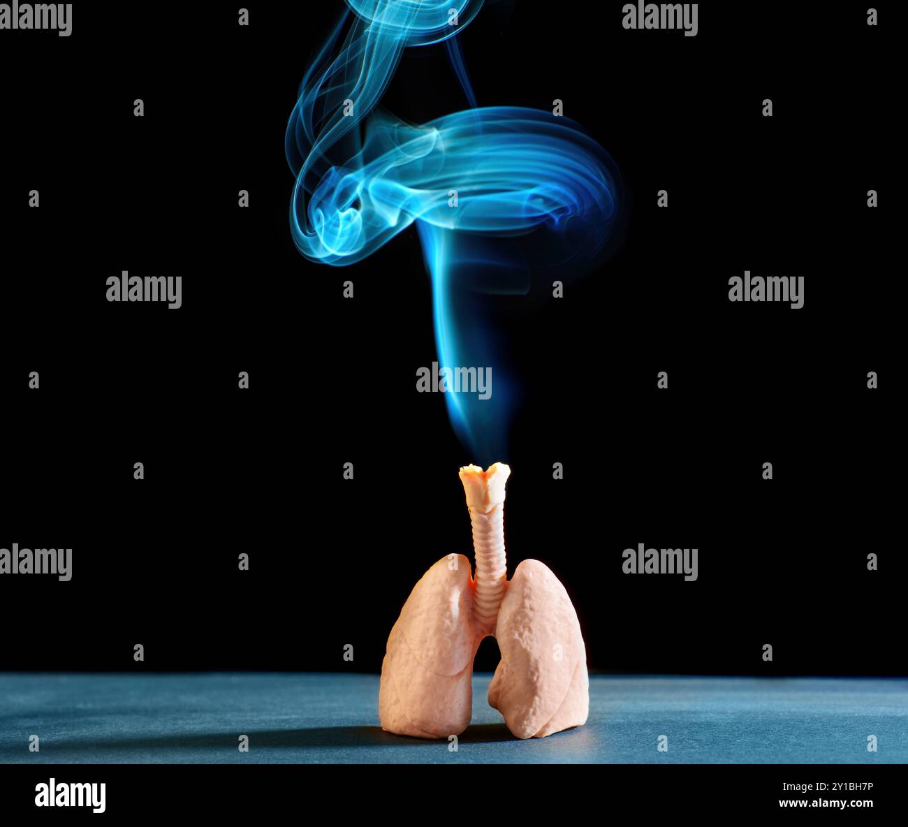 Miniature human lungs model with swirling blue smoke emerging from the ...