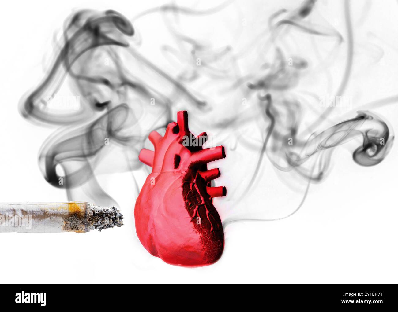 Real life human heart model with swirling smoke and a cigarette ...