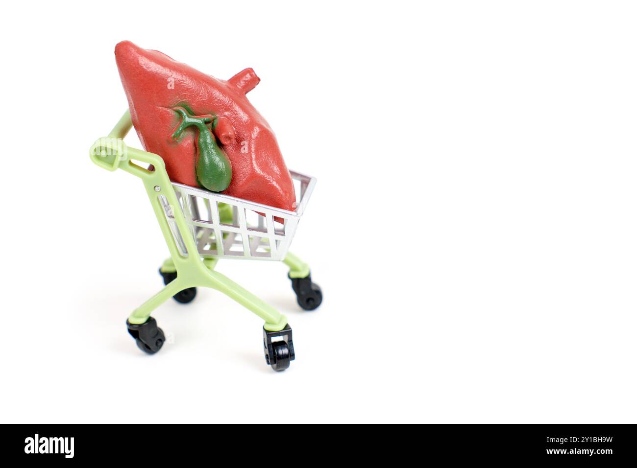 Clay liver model set in a miniature shopping cart isolated on a white ...