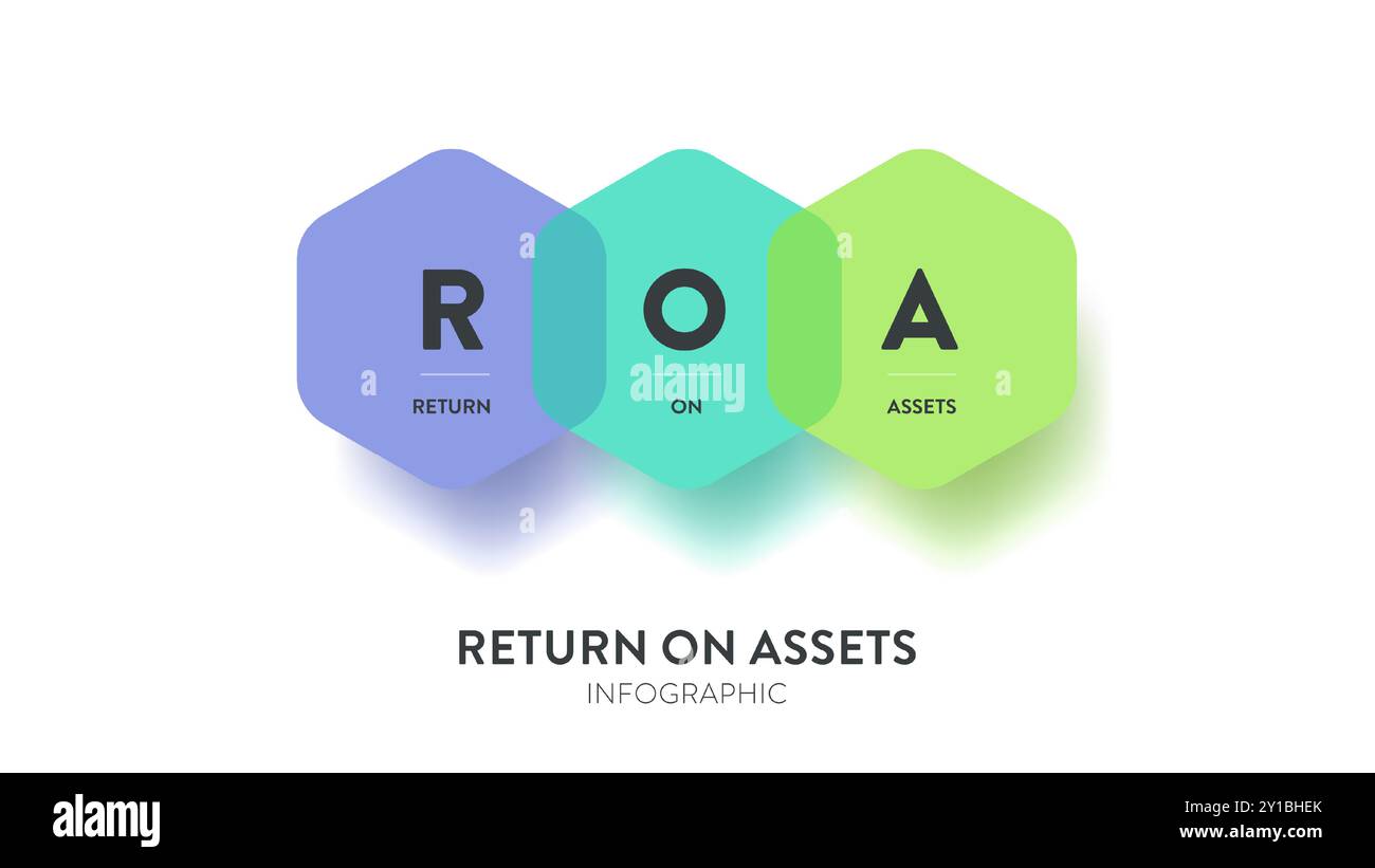 ROA (Return on Assets) infographic diagram chart banner template vector ...