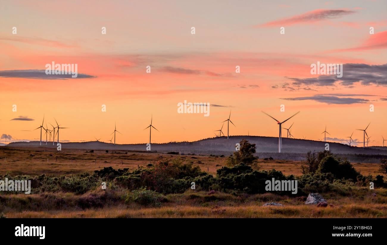 Wind turbines on wind farm under beautiful orange sunset sky at Galway ...