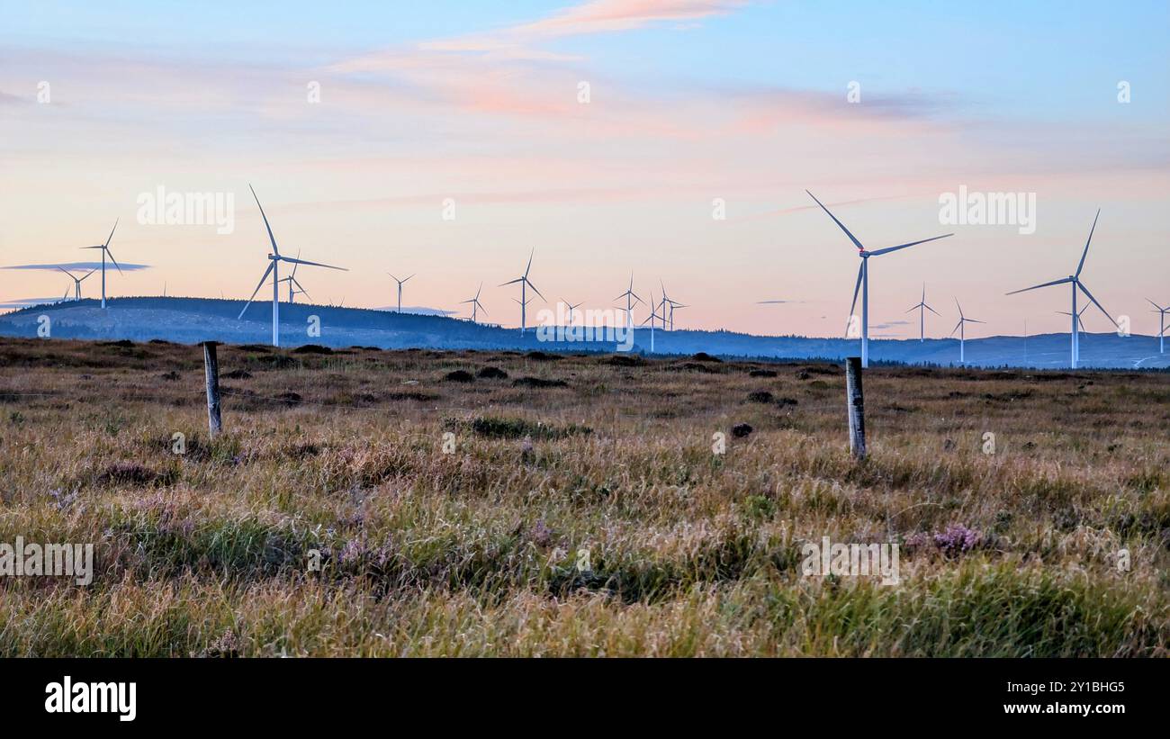 Wind turbines on wind farm under beautiful orange sunset sky at Galway ...