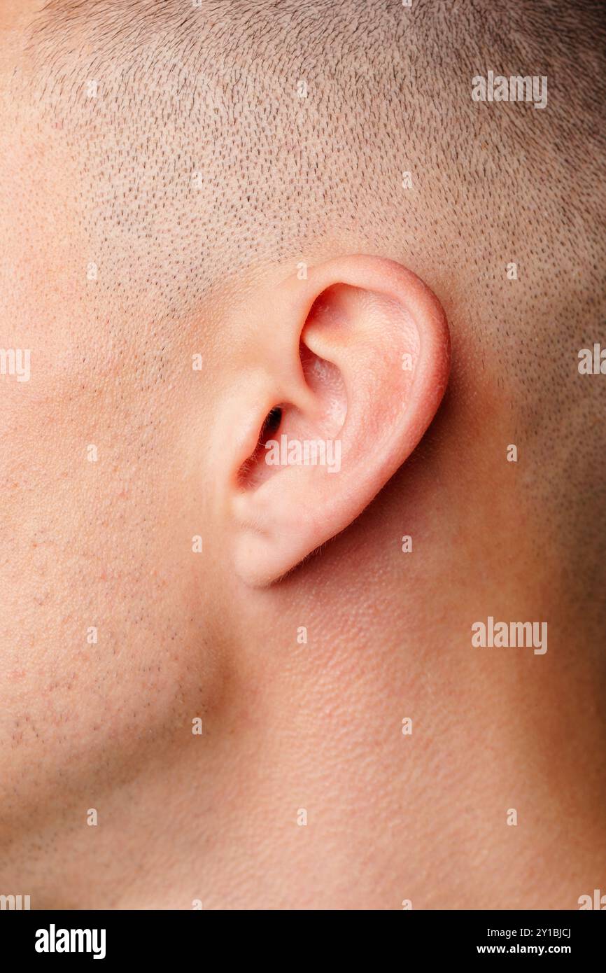 View of Male Ear and Haircut With Skin Texture Under Natural Light ...