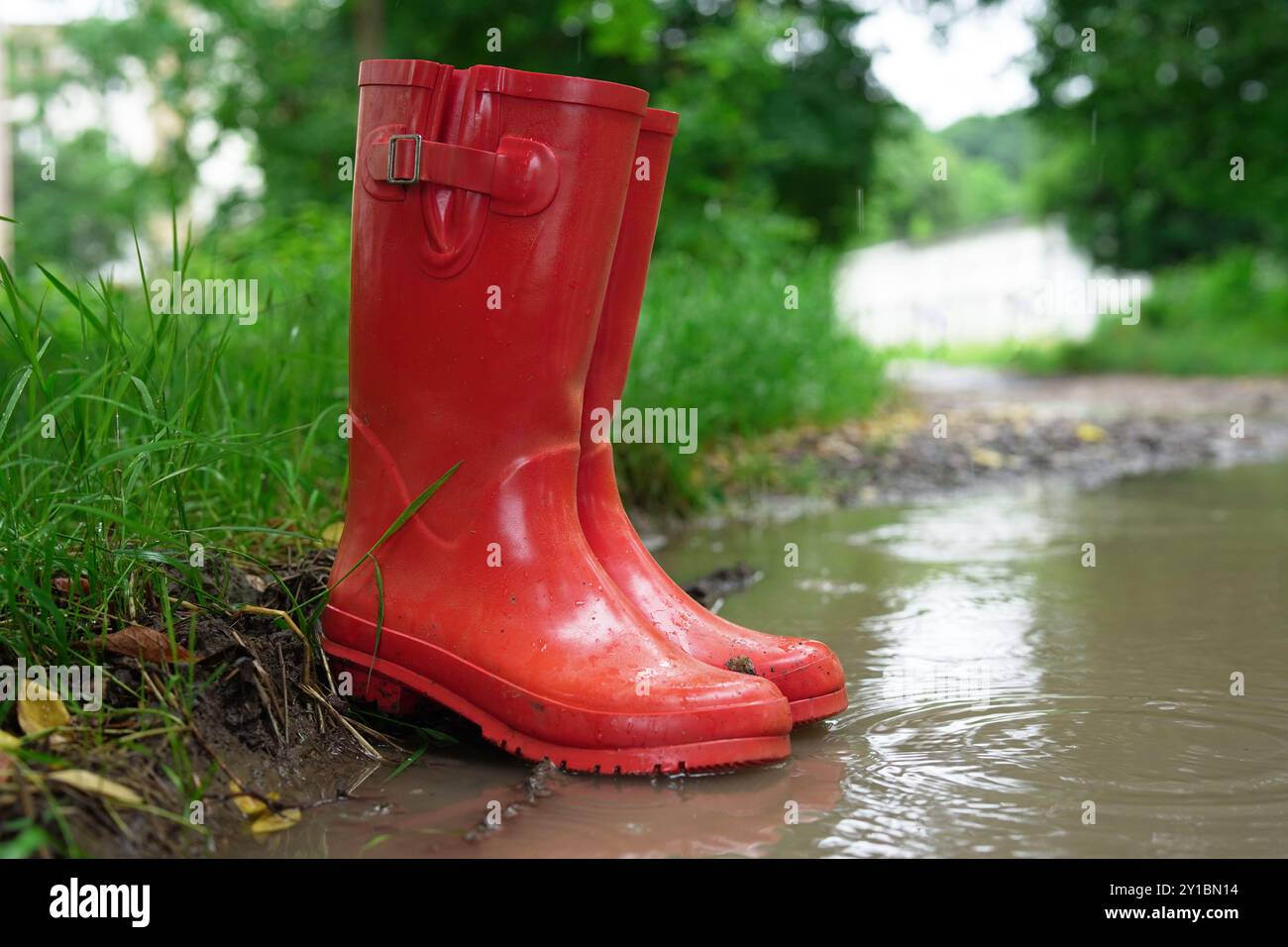 Red rubber boots in puddle at rainy day, closeup Stock Photo - Alamy