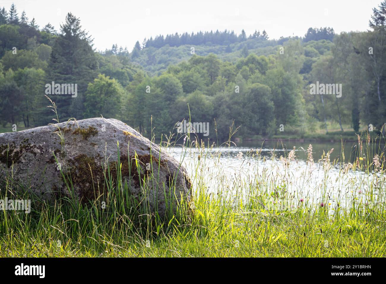 Green landscape at Lake Sauviat sur Vige Stock Photo - Alamy