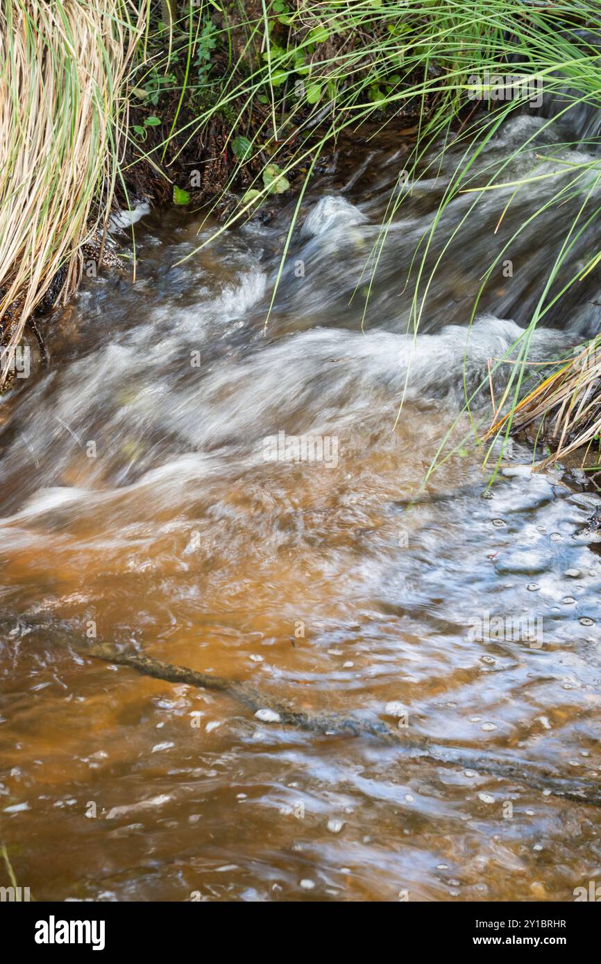 Water source near Sauviat sur Vige lake Stock Photo - Alamy