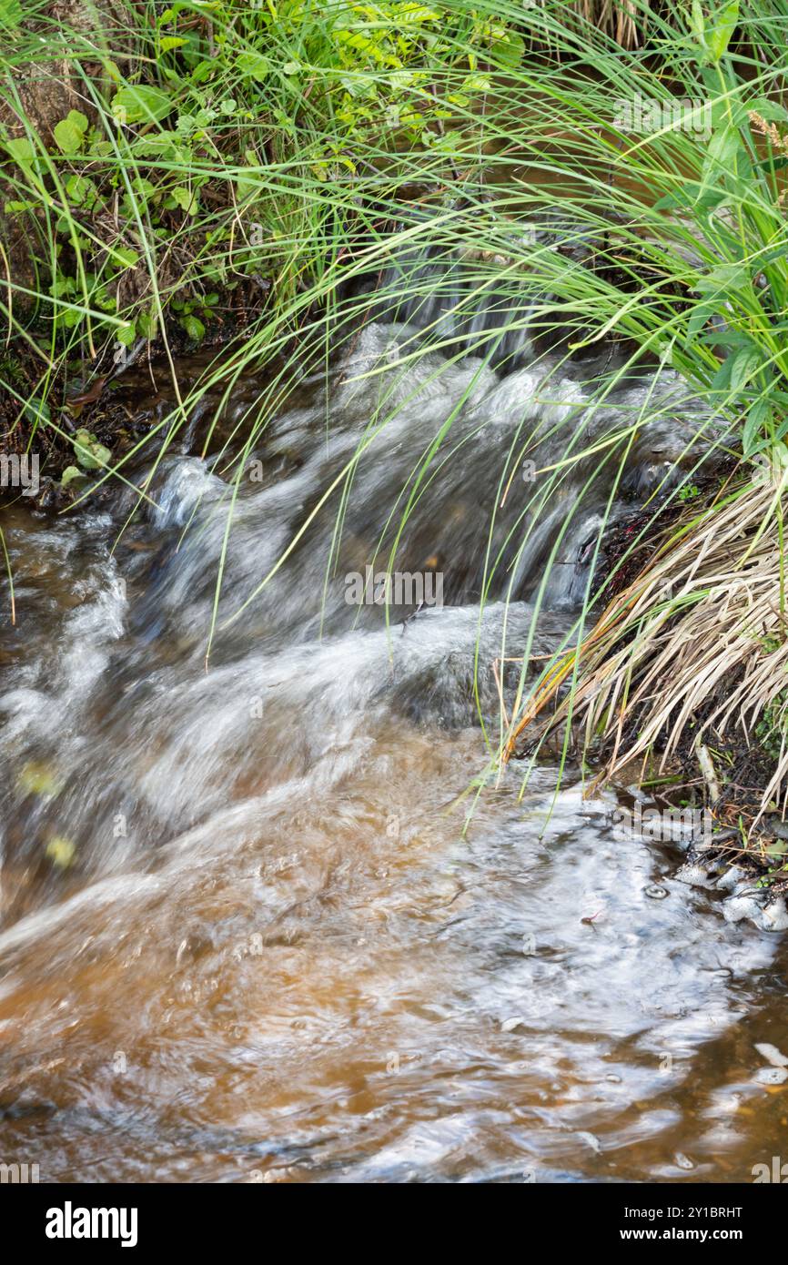 Water source near hi-res stock photography and images - Alamy