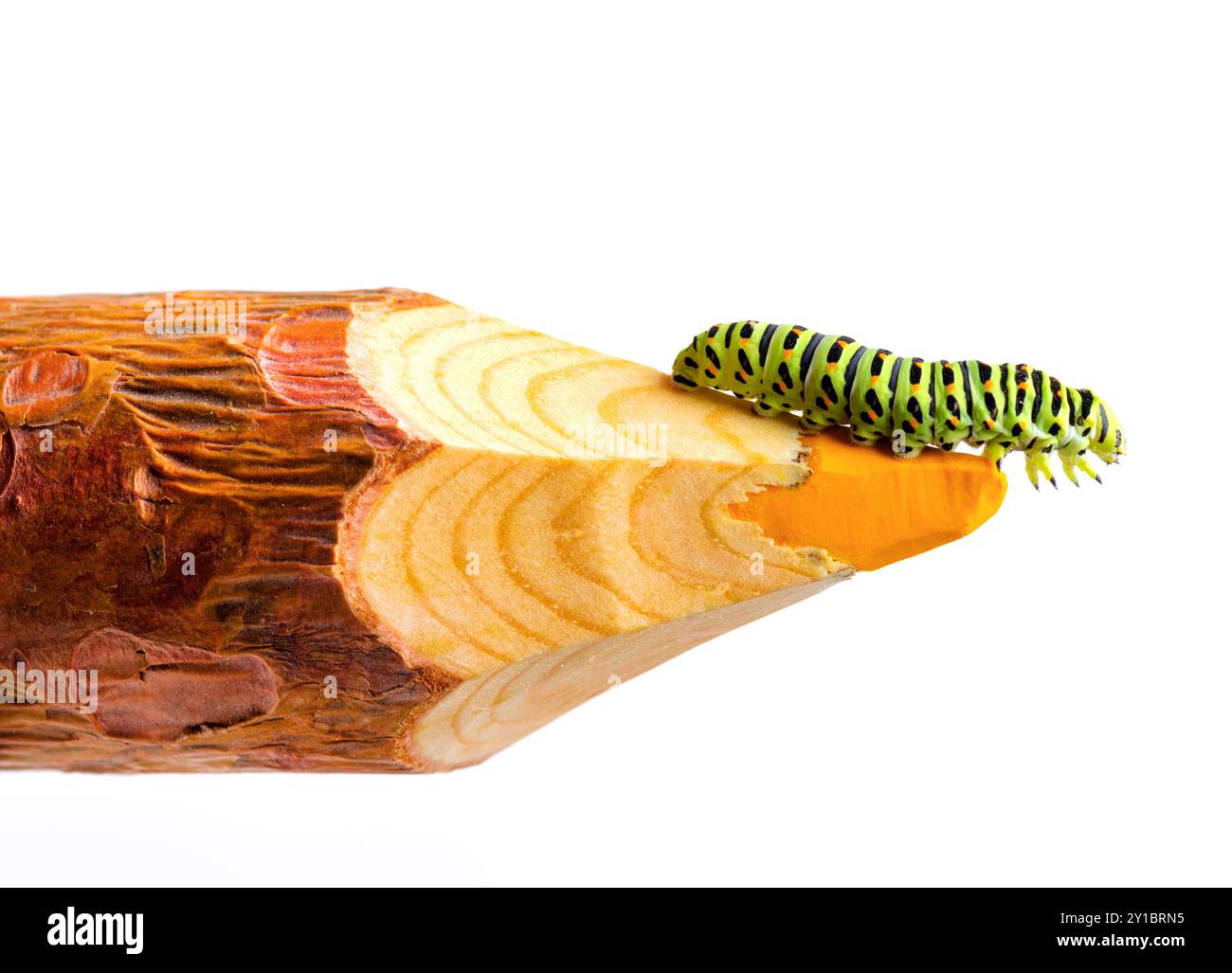 Caterpillar moving hi-res stock photography and images - Alamy