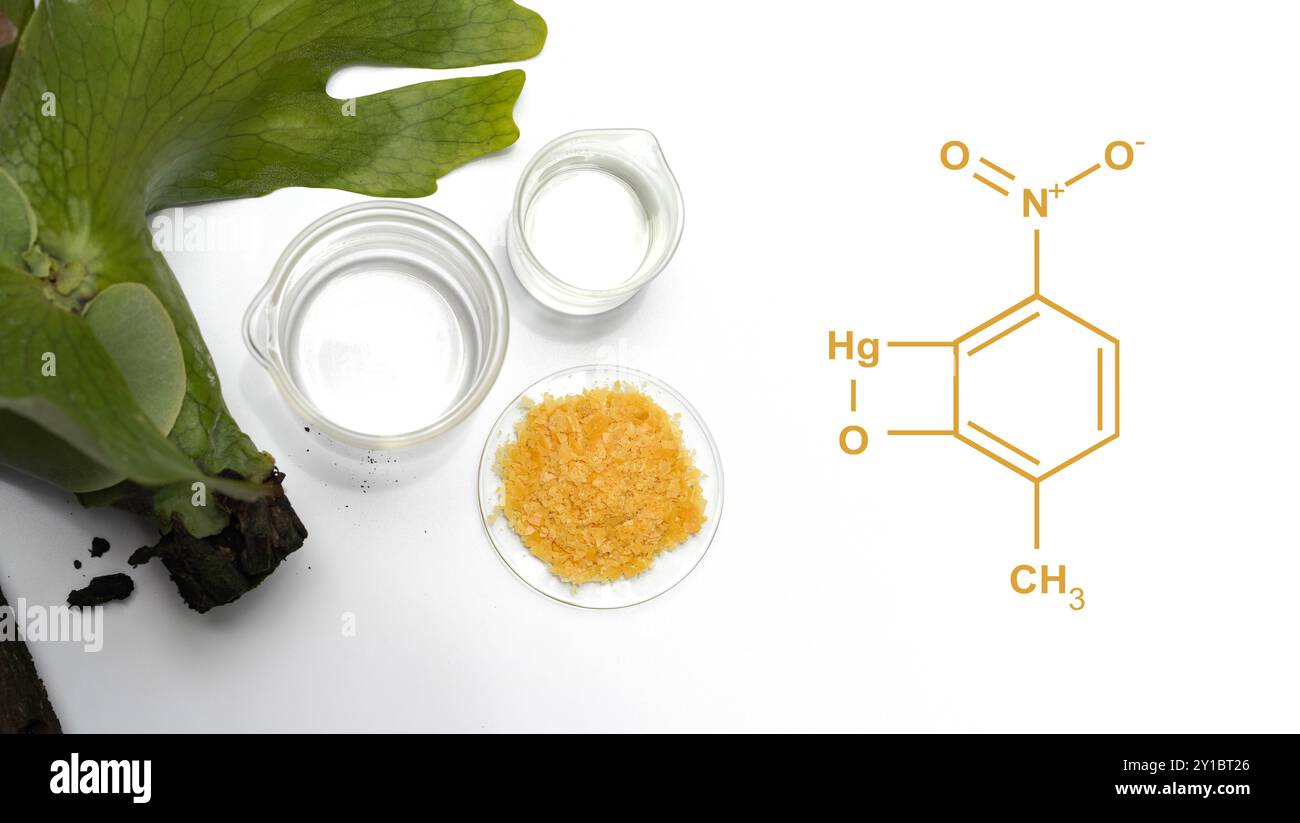 Organic Carnauba Wax in Chemical Watch Glass with molecular structure ...