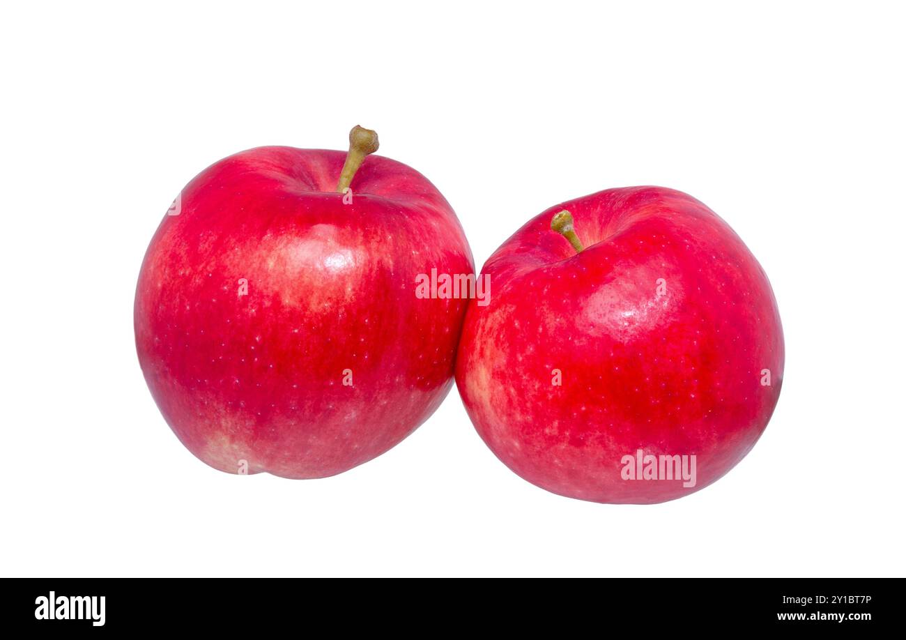 Apple isolated. Red Whole apple on White background Stock Photo - Alamy