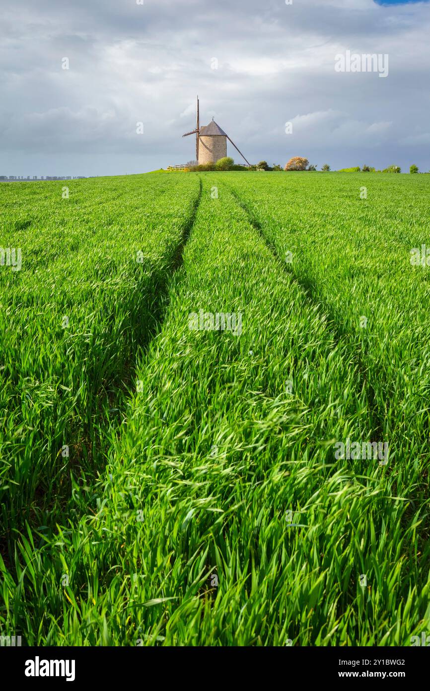 An old windmill in the countryside near Le Mont Saint Michel. Normandy ...