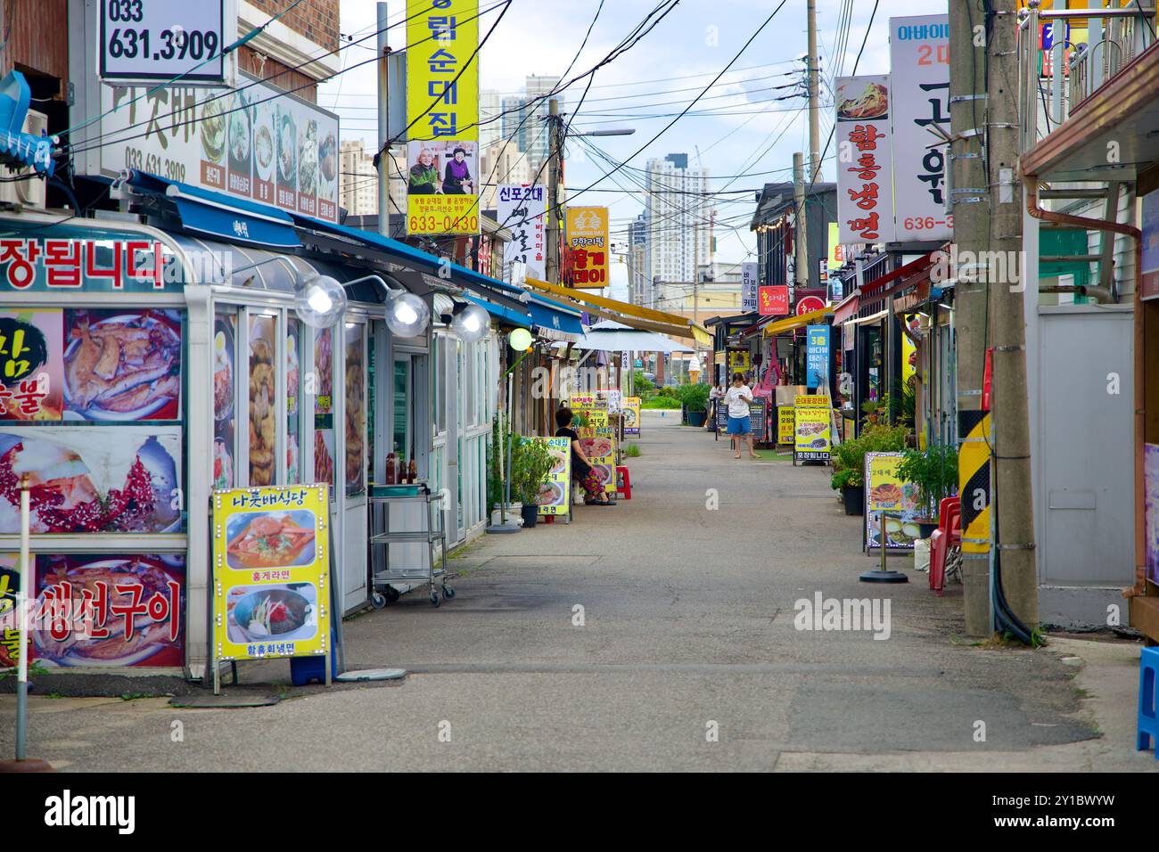 Sokcho, Korea, food stalls, street food, quiet street, Korean cuisine ...