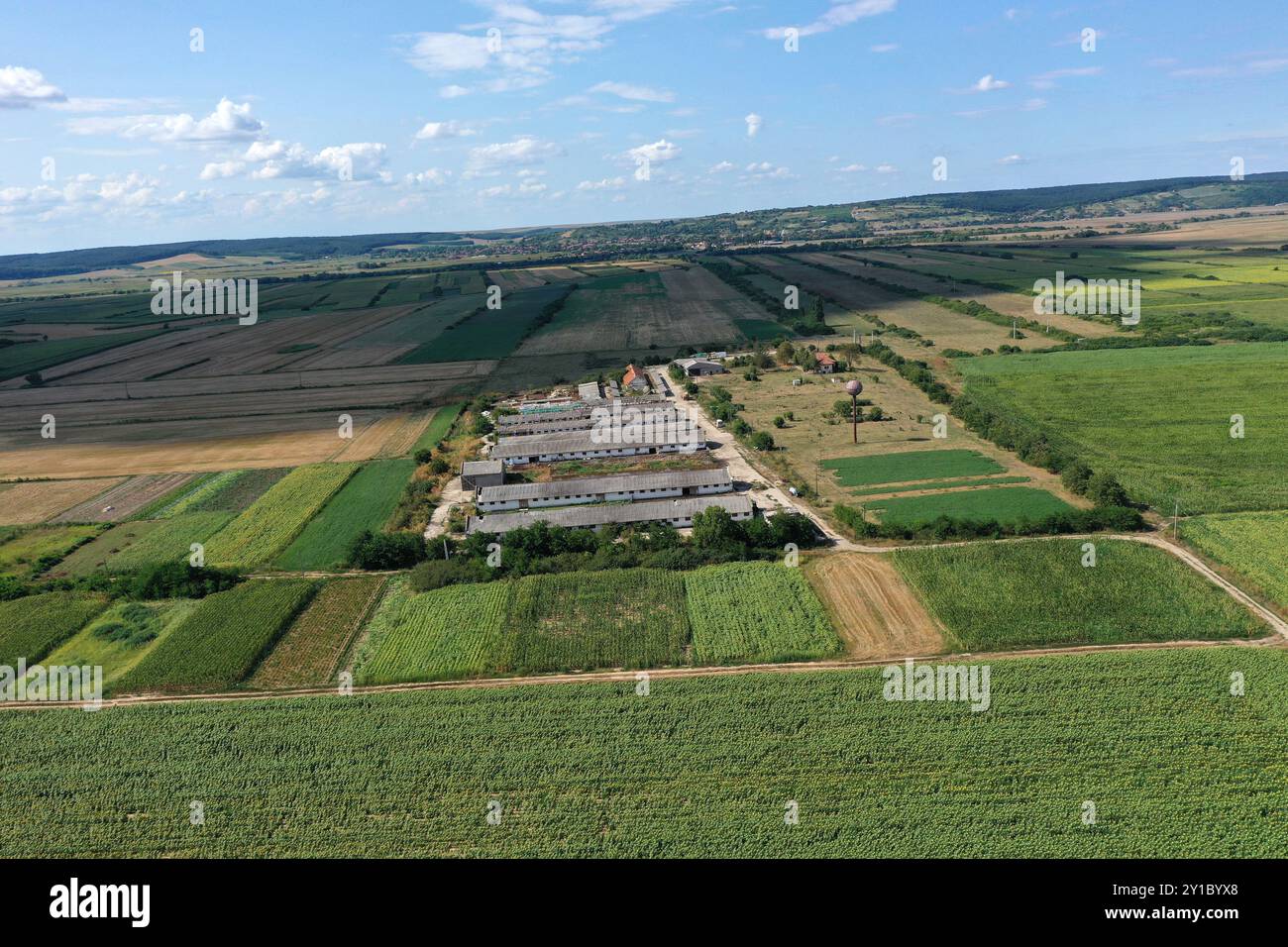 Bio farm, countryside cowshed, hangars, dairy cows, bio agricultural ...