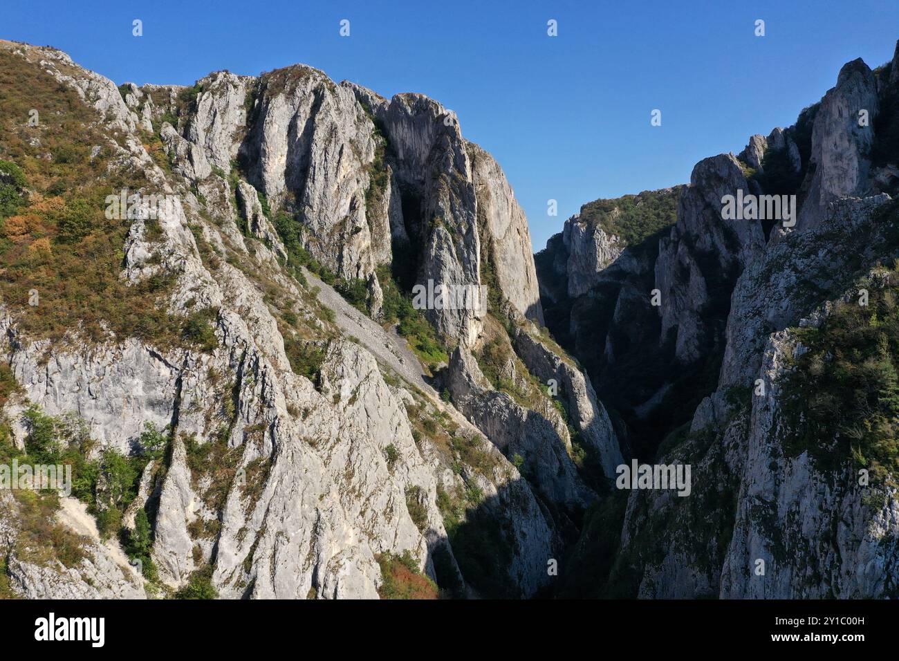 Aerial view of a deep limestone gorge, canyon. Cheile Turzii, Romania ...