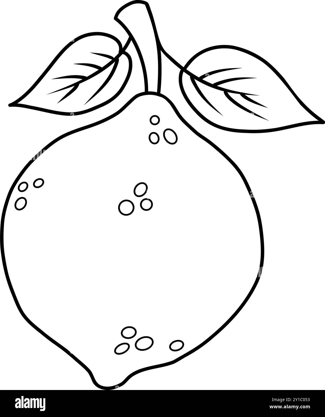 Contour Lime. Seasonal citrus fruit. Line Outline drawing, coloring ...