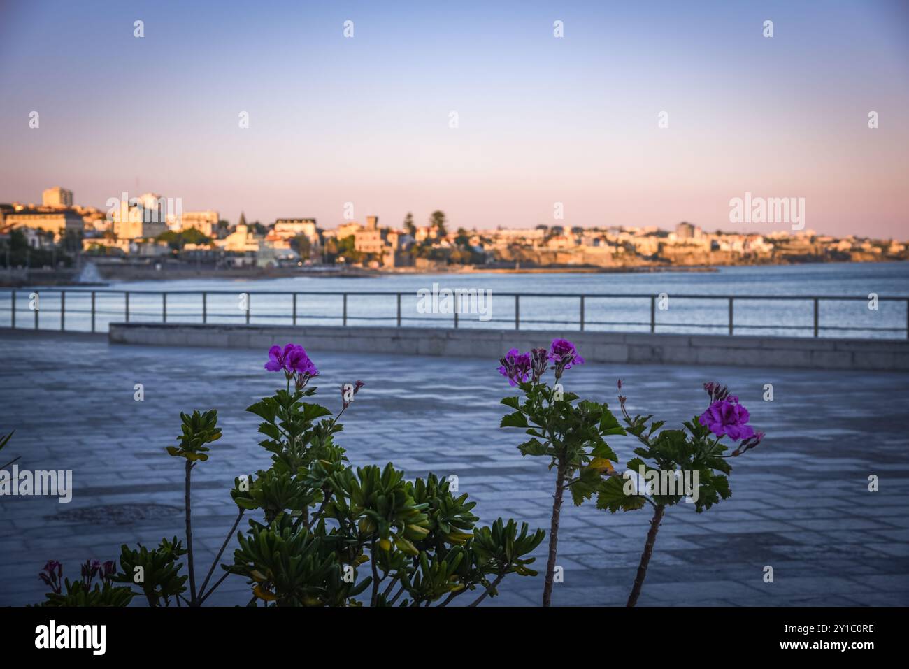Portugal atlantic coast cascais sunset hi-res stock photography and ...
