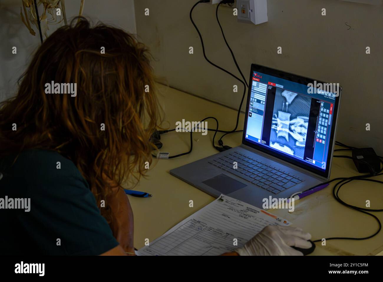 Dr. Ariela a Veterinary surgeon is studying the x-ray of an Eurasian ...