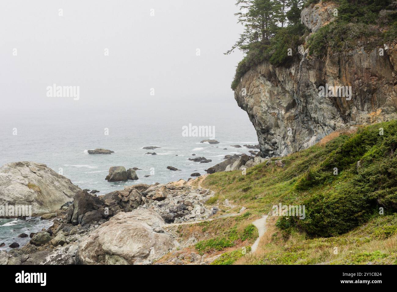 Cliff with trees overlooking a foggy coastal shore and ocean Stock ...