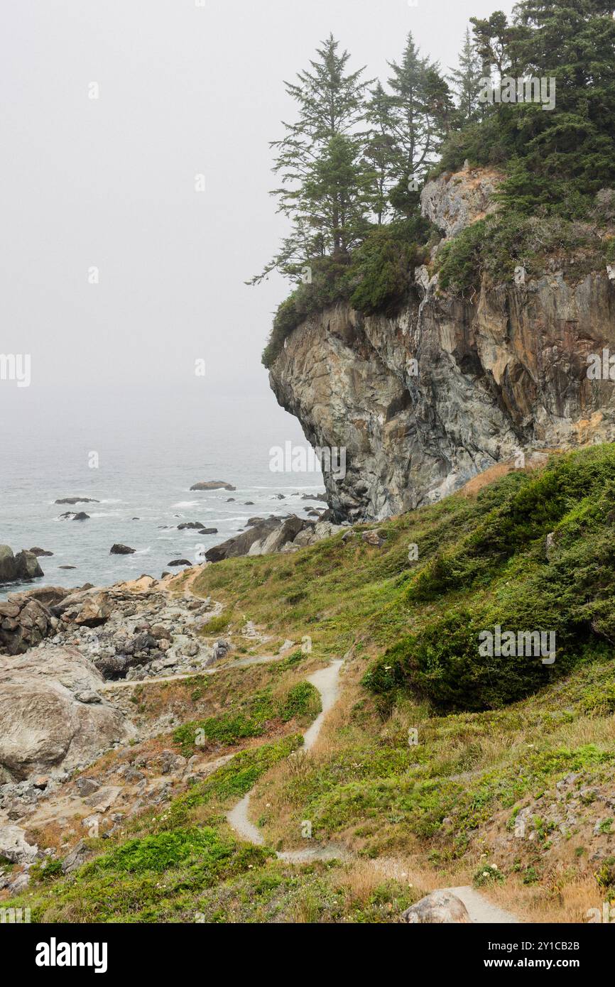 Tall cliff with trees overlooking a foggy coastal shore and ocean Stock ...