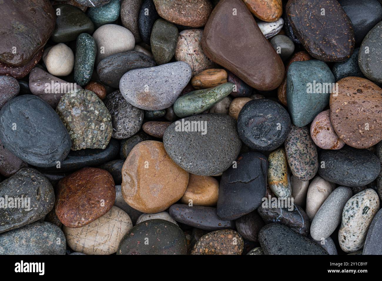 Wet pebbles on the sea shore Stock Photo - Alamy