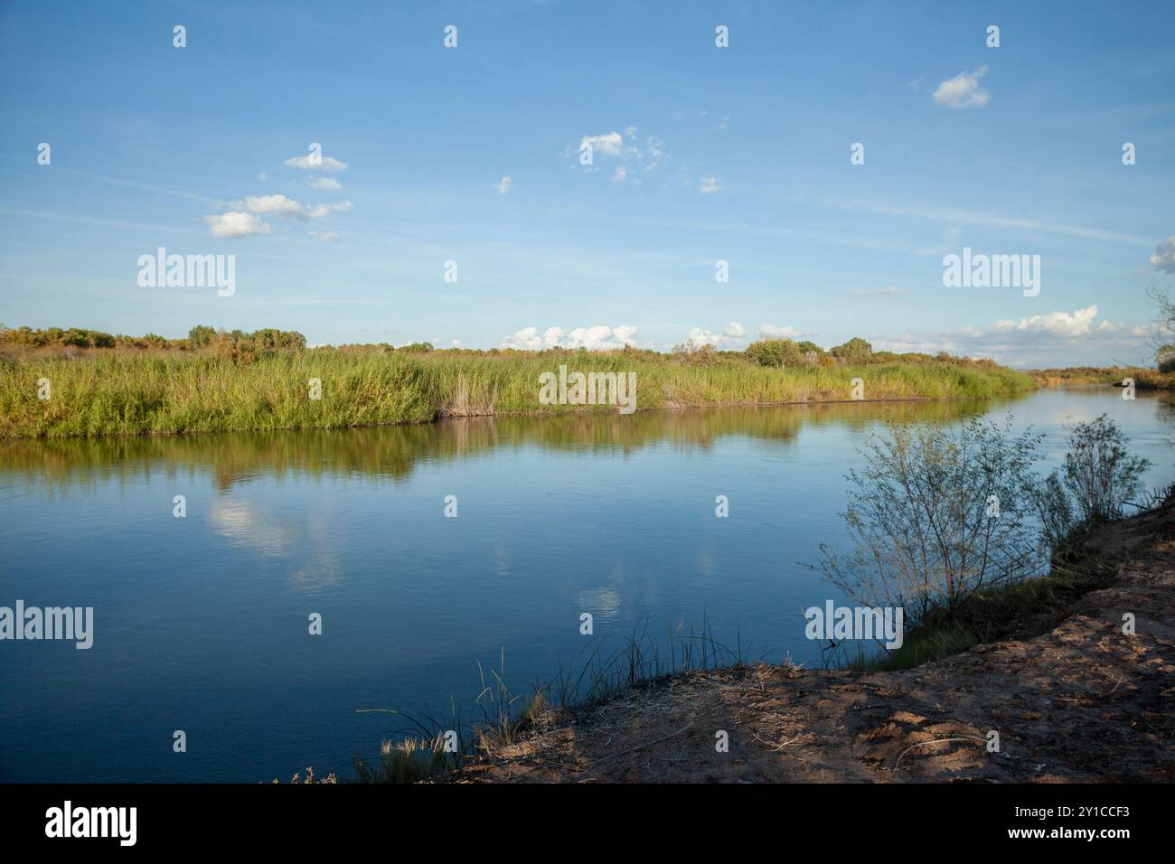 Wetlands of the lower Colorado river in Yuma, AZ Stock Photo - Alamy