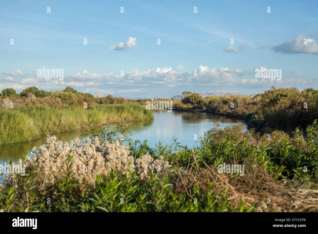 Colorado river yuma arizona hi-res stock photography and images - Alamy