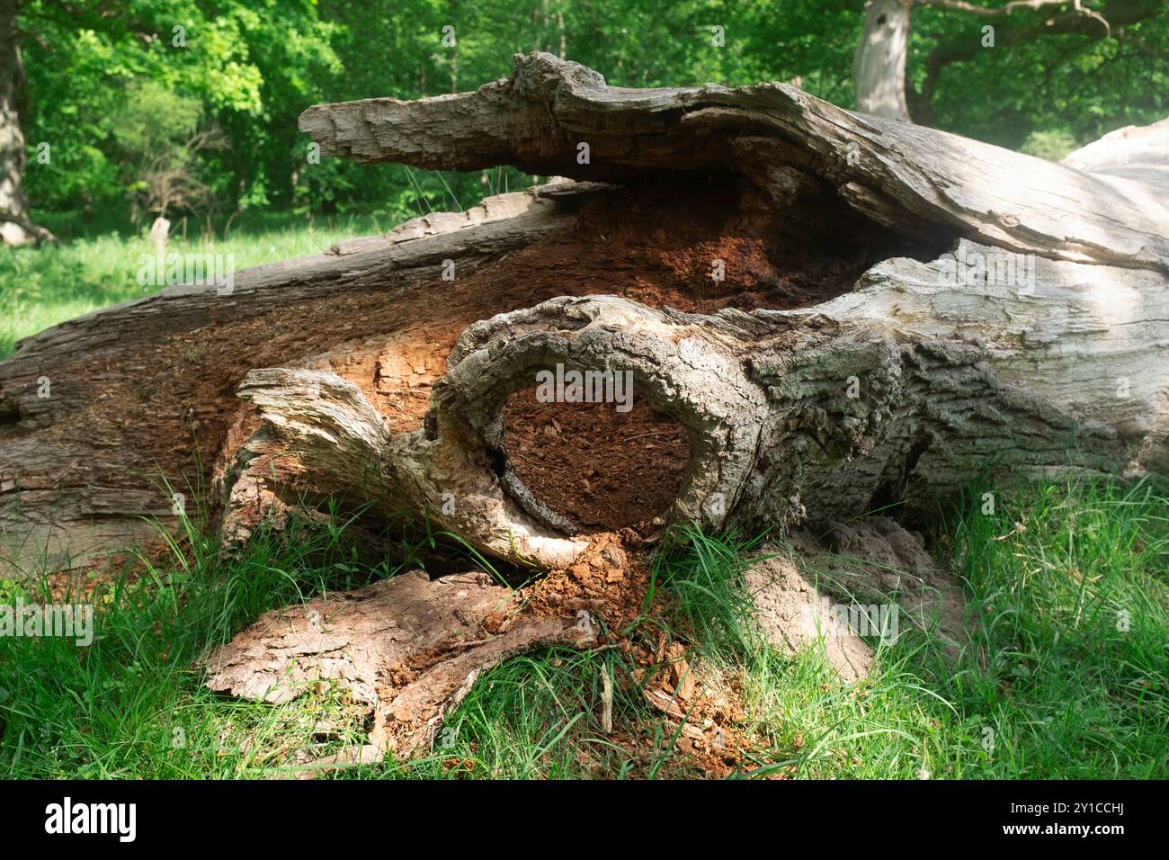 Verdant view hi-res stock photography and images - Alamy