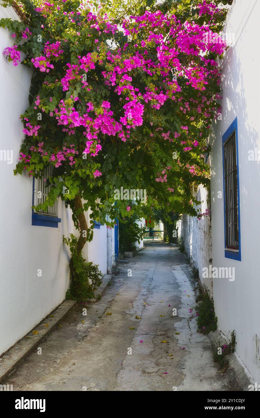 Bodrum natural spring hi-res stock photography and images - Alamy