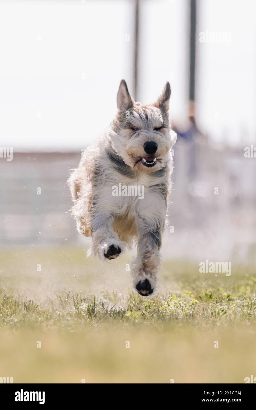 Chase berger hi-res stock photography and images - Alamy