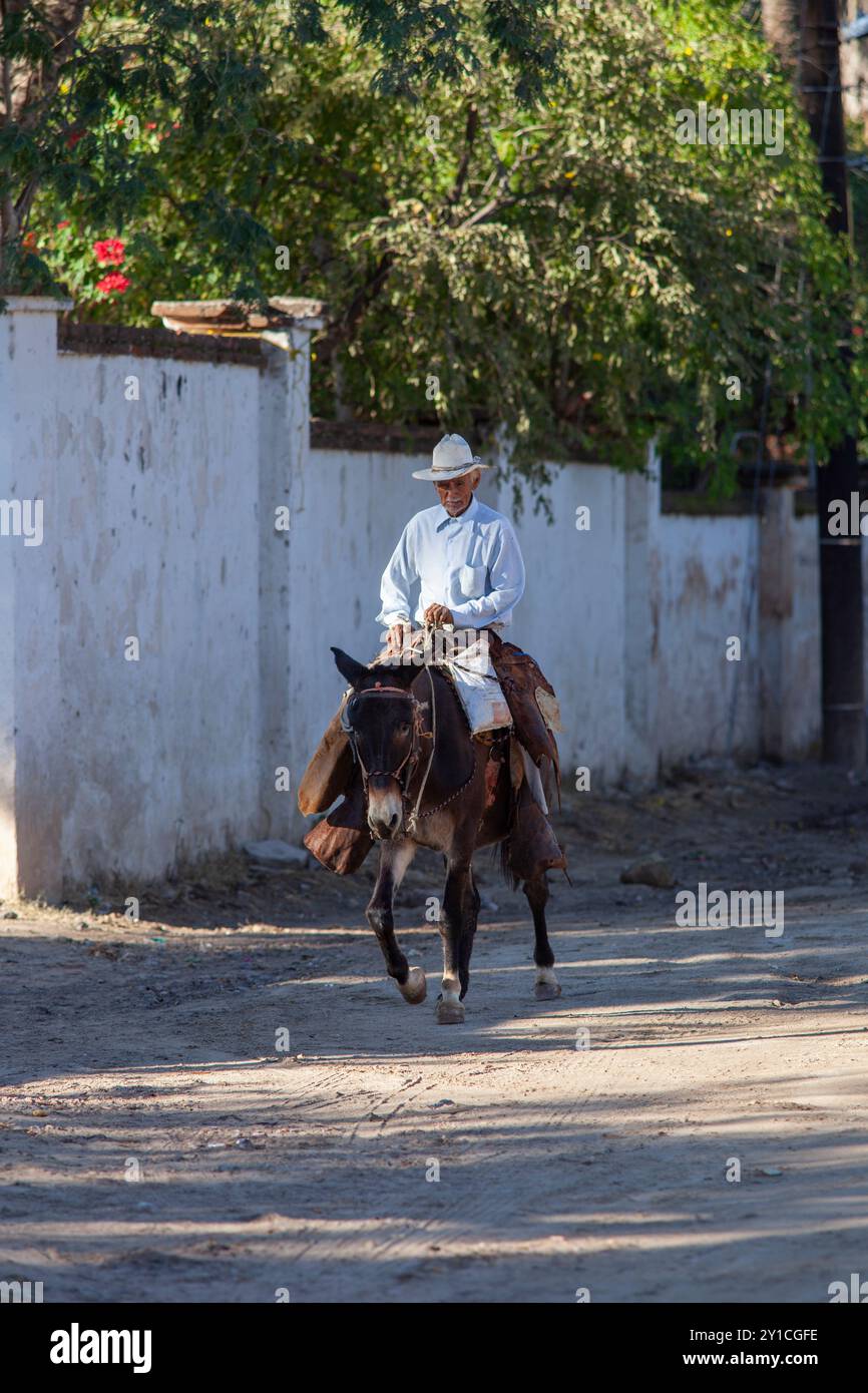 Man riding burro hi-res stock photography and images - Alamy