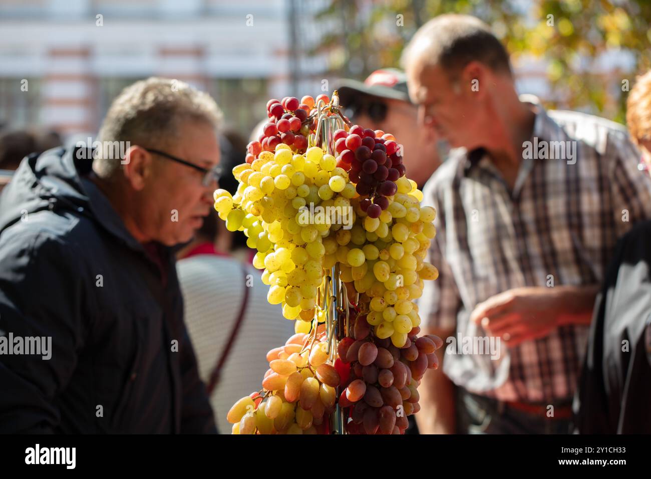 September 16, 2023. Belarus. Gomel. City Day. Vegetable fair. Sale of ...