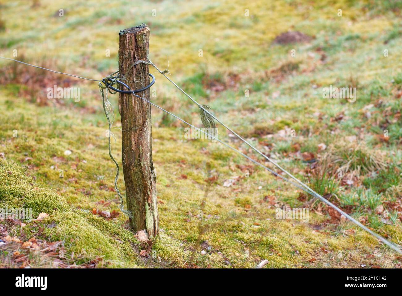 Post and cable barrier hi-res stock photography and images - Alamy