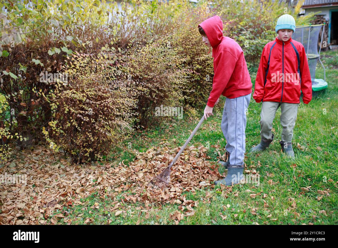 Kids playing in pile leaves hi-res stock photography and images - Alamy