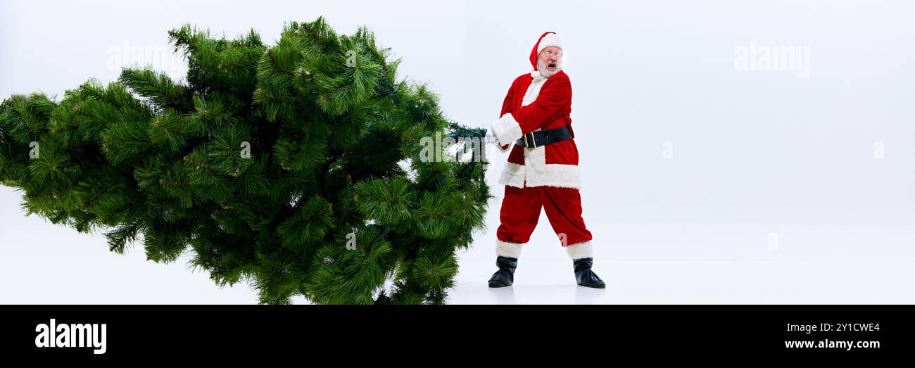 Banner. Santa Claus, in full costume, struggles to drag large Christmas ...